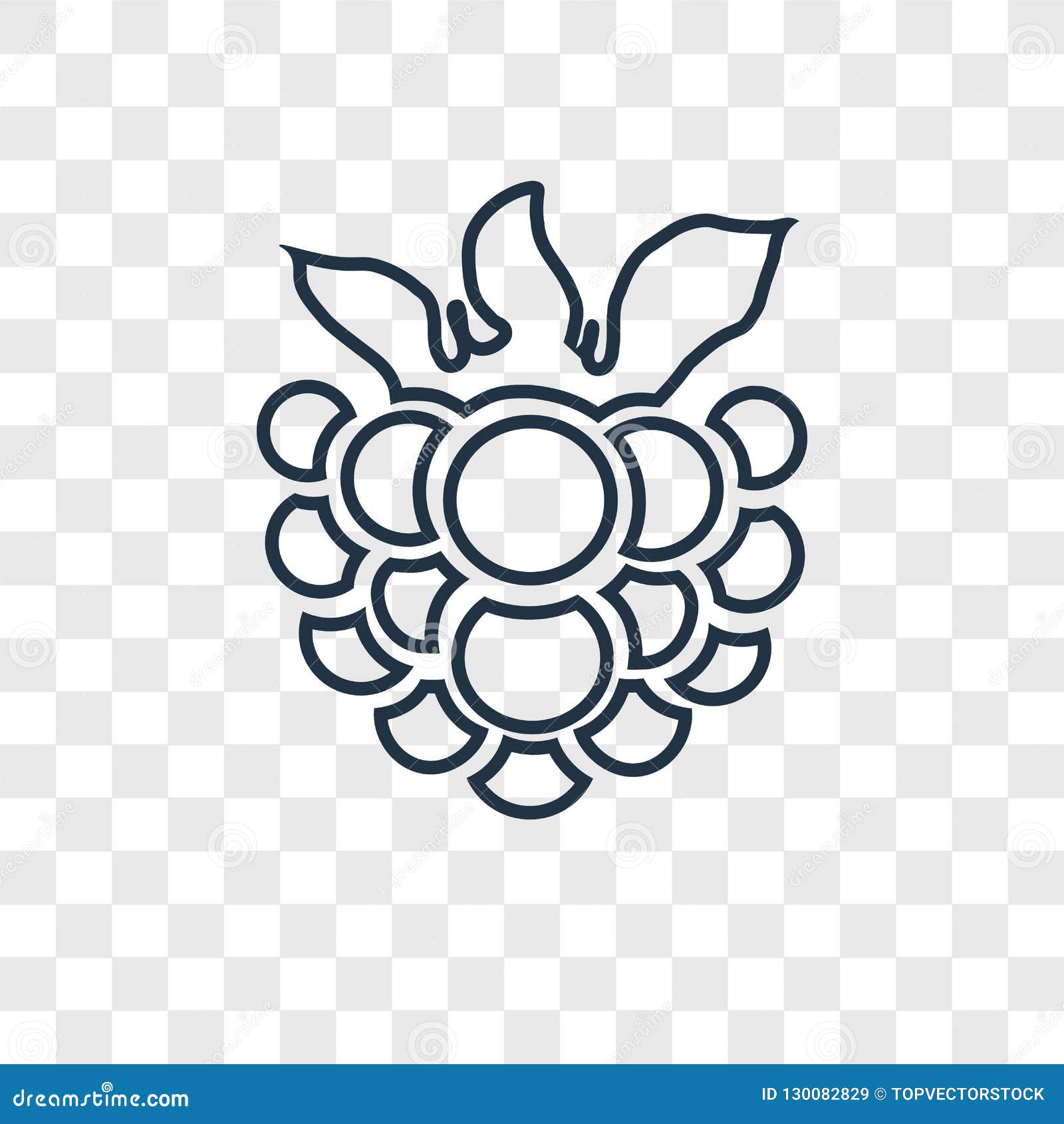 Raspberry Concept Vector Linear Icon Isolated on Transparent Background ...