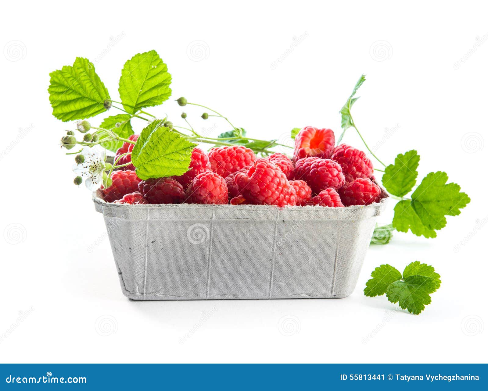 Raspberry container stock image. Image of natural, diet - 55813441