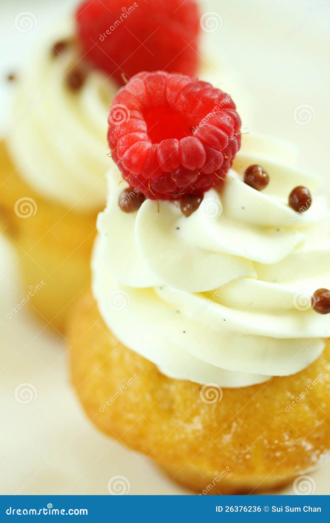 Raspberry cup cake stock photo. Image of raspberry, yummy - 26376236