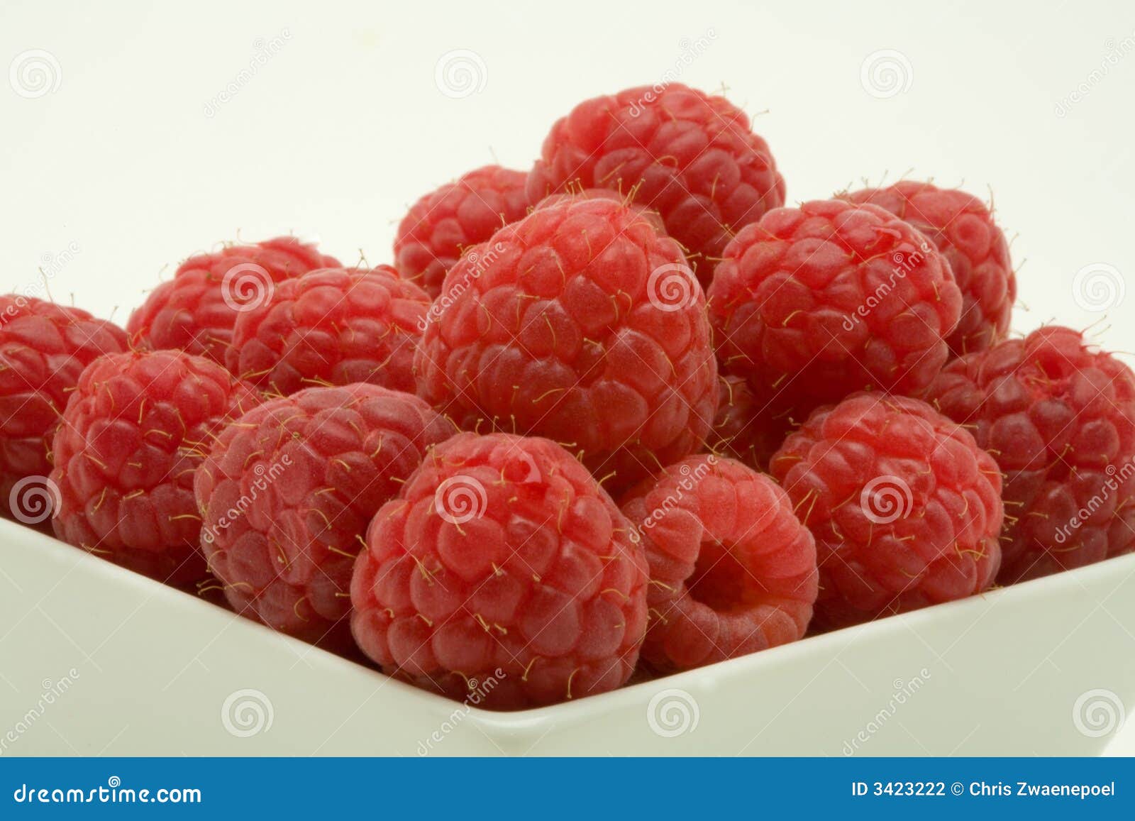 Raspberry Dessert. Table Setting. Wedding Decor In The Magic Forest For ...