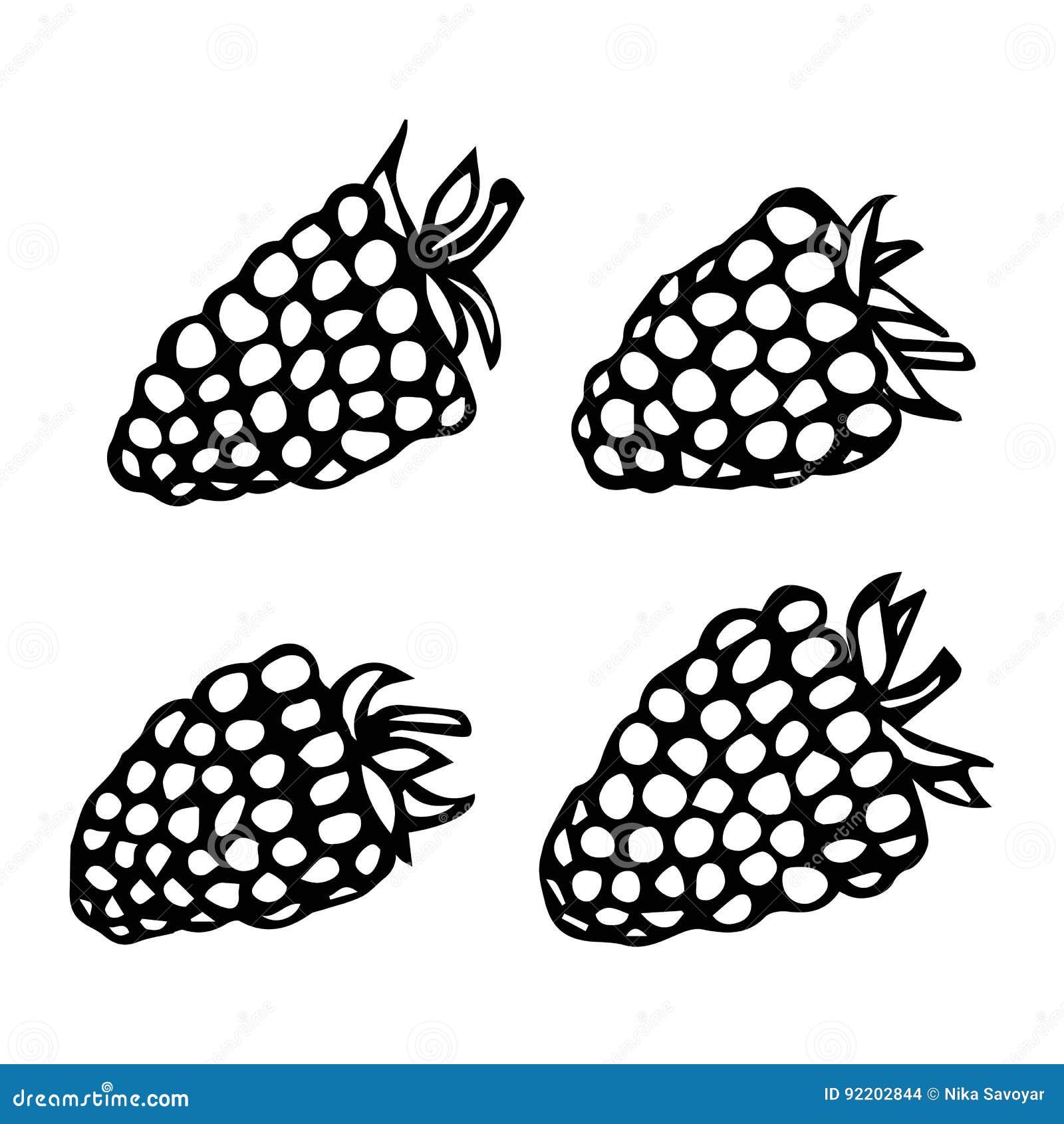 Raspberry Doodle Style Vector Sketch, Isolated on White Background ...