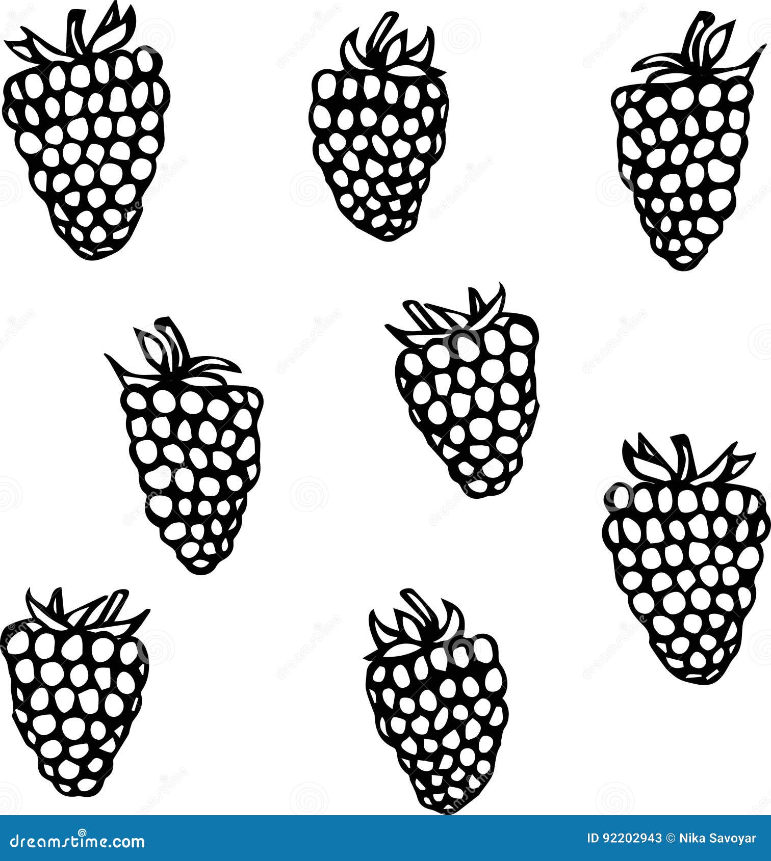 Raspberry Doodle Style Vector Sketch, Isolated on White Background ...