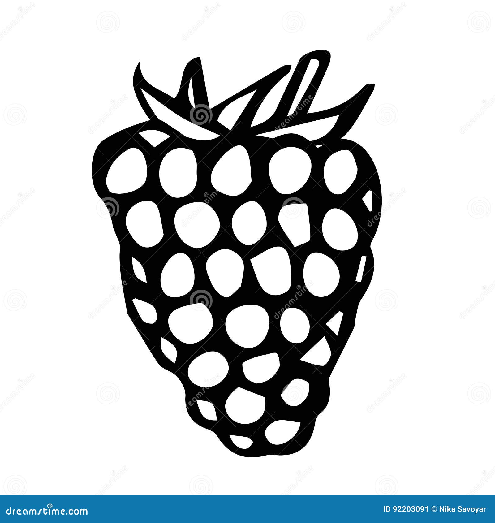 Raspberry Doodle Style Vector Sketch, Isolated on White Background ...