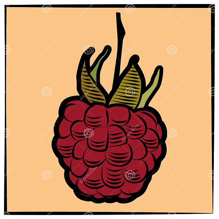 Raspberry-engraving-color stock vector. Illustration of color - 23111879