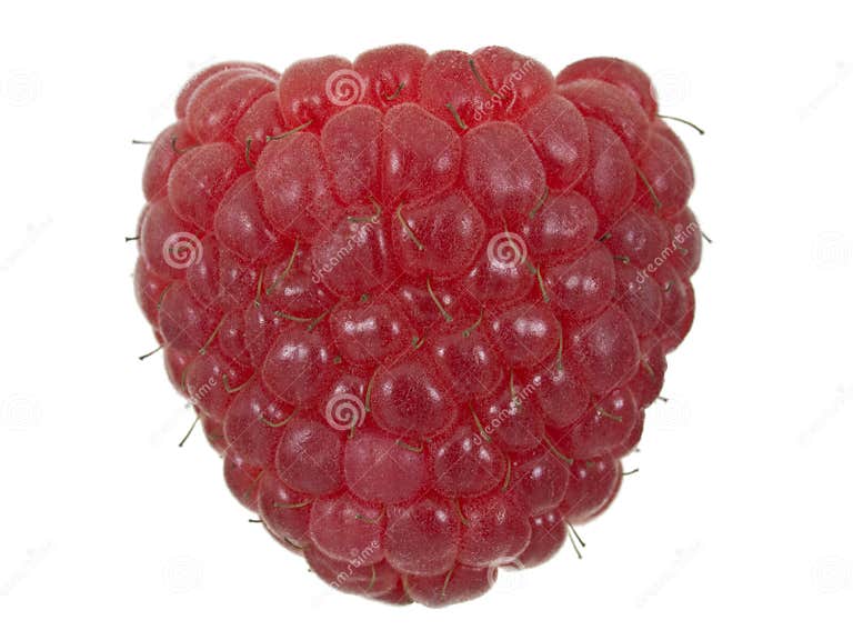 Raspberry face stock image. Image of face, healthy, guide - 11349717