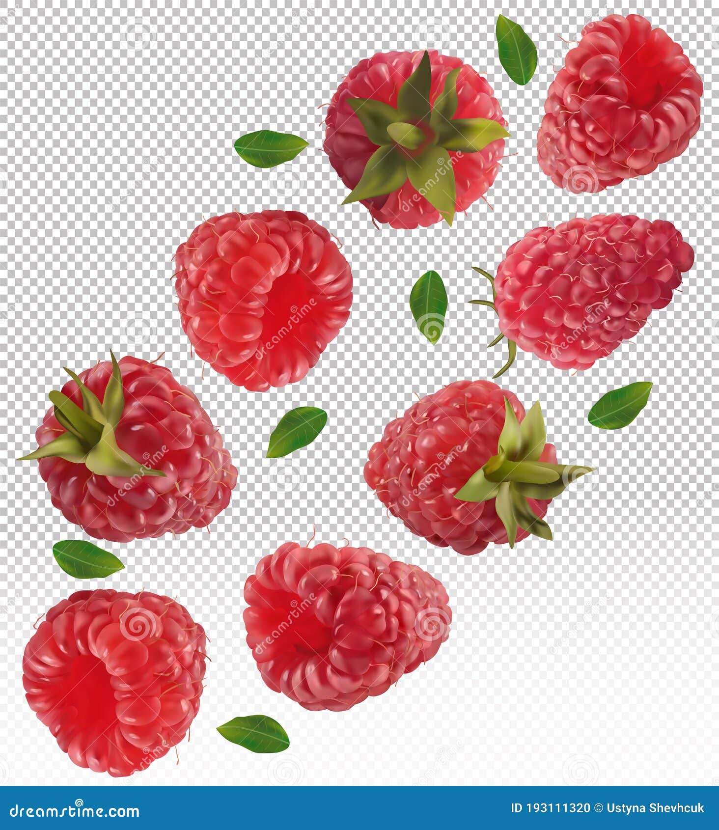 Raspberry Falling Into Water Splash Isolated On White Background ...