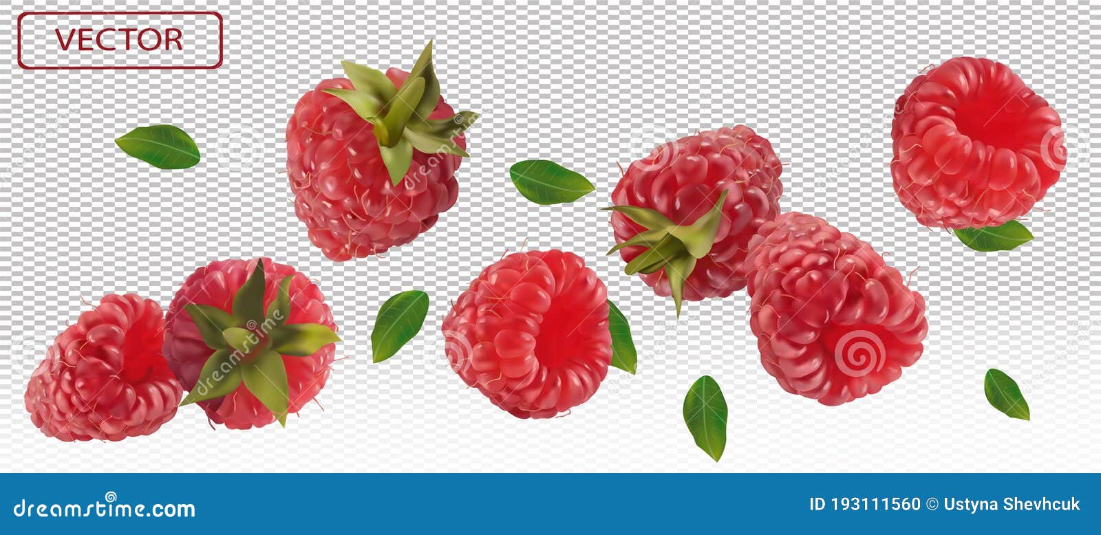 Raspberry Falling from Different Angles. Flying Raspberry with Green ...