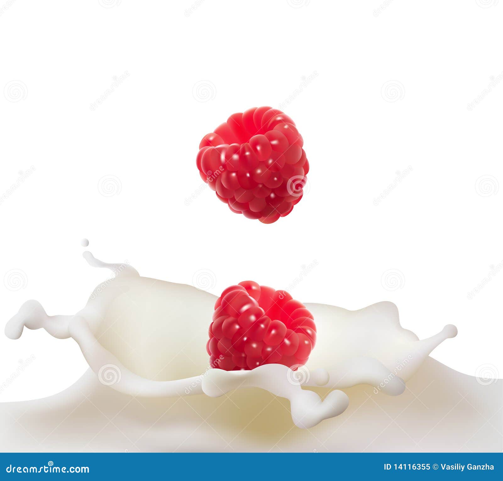 Raspberry Falling into Splash of Milk Stock Vector - Illustration of ...
