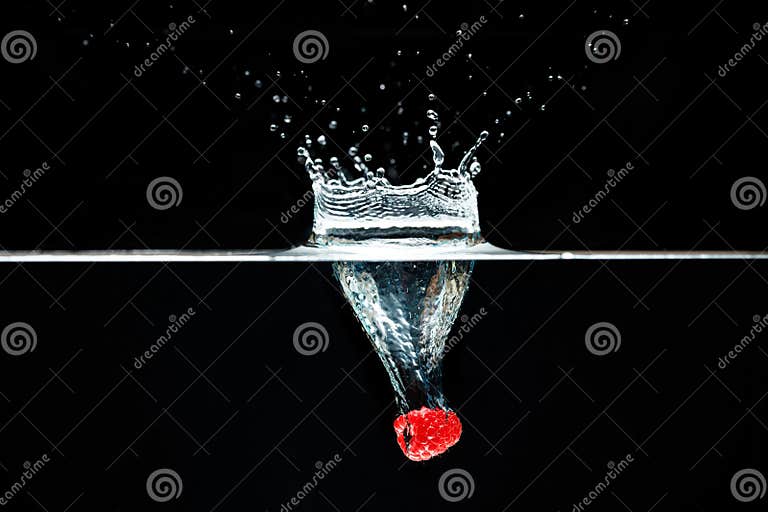 Raspberry Falls Deeply Under Water with a Big Splash. Stock Image ...