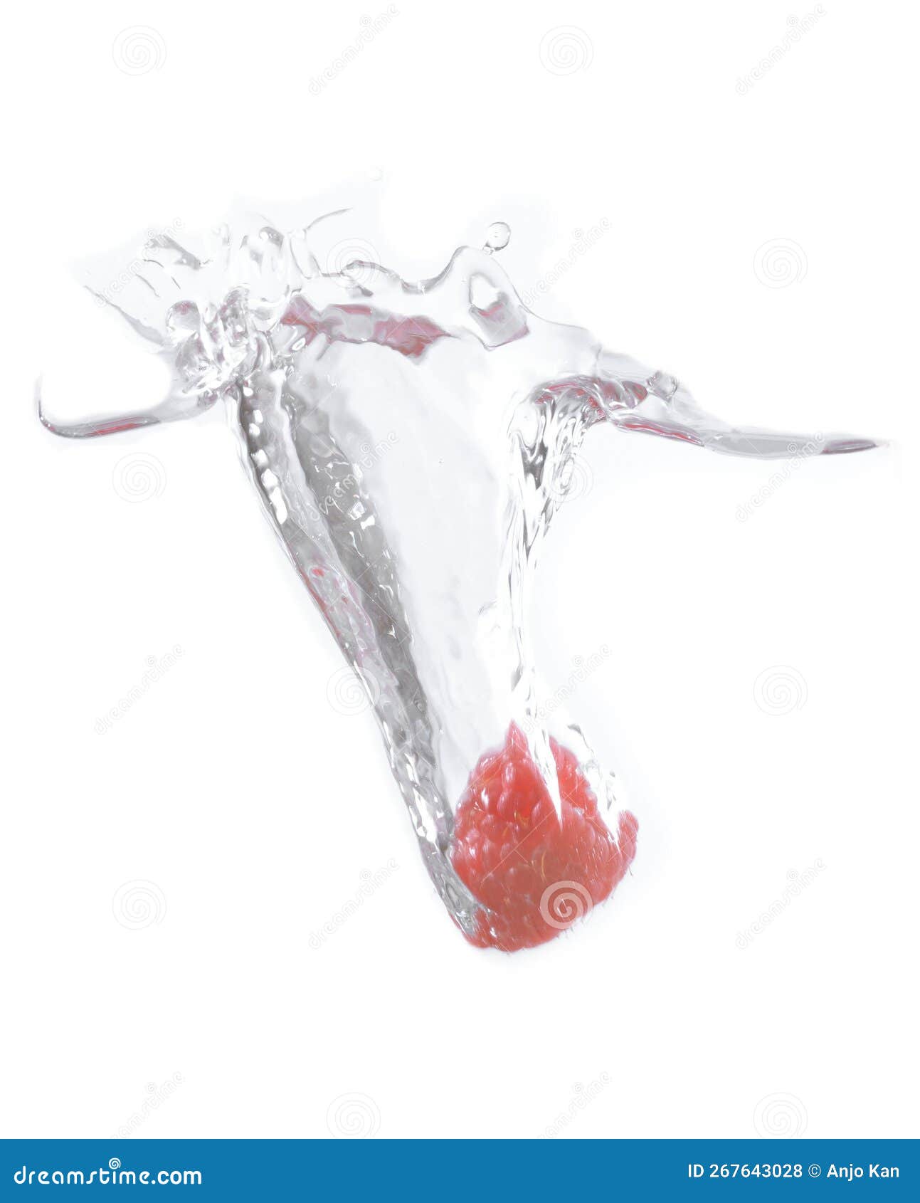 Raspberry Falls Deeply Under Water with a Big Splash. Stock Photo ...