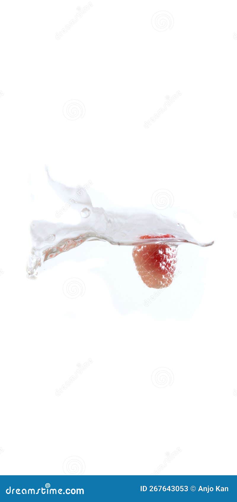Raspberry Falls Deeply Under Water with a Big Splash. Stock Image ...