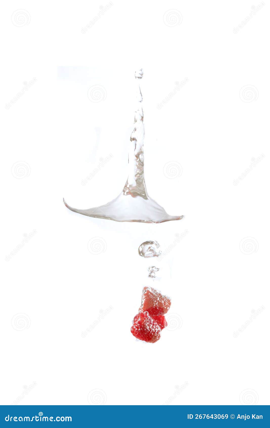 Raspberry Falls Deeply Under Water with a Big Splash. Stock Image ...