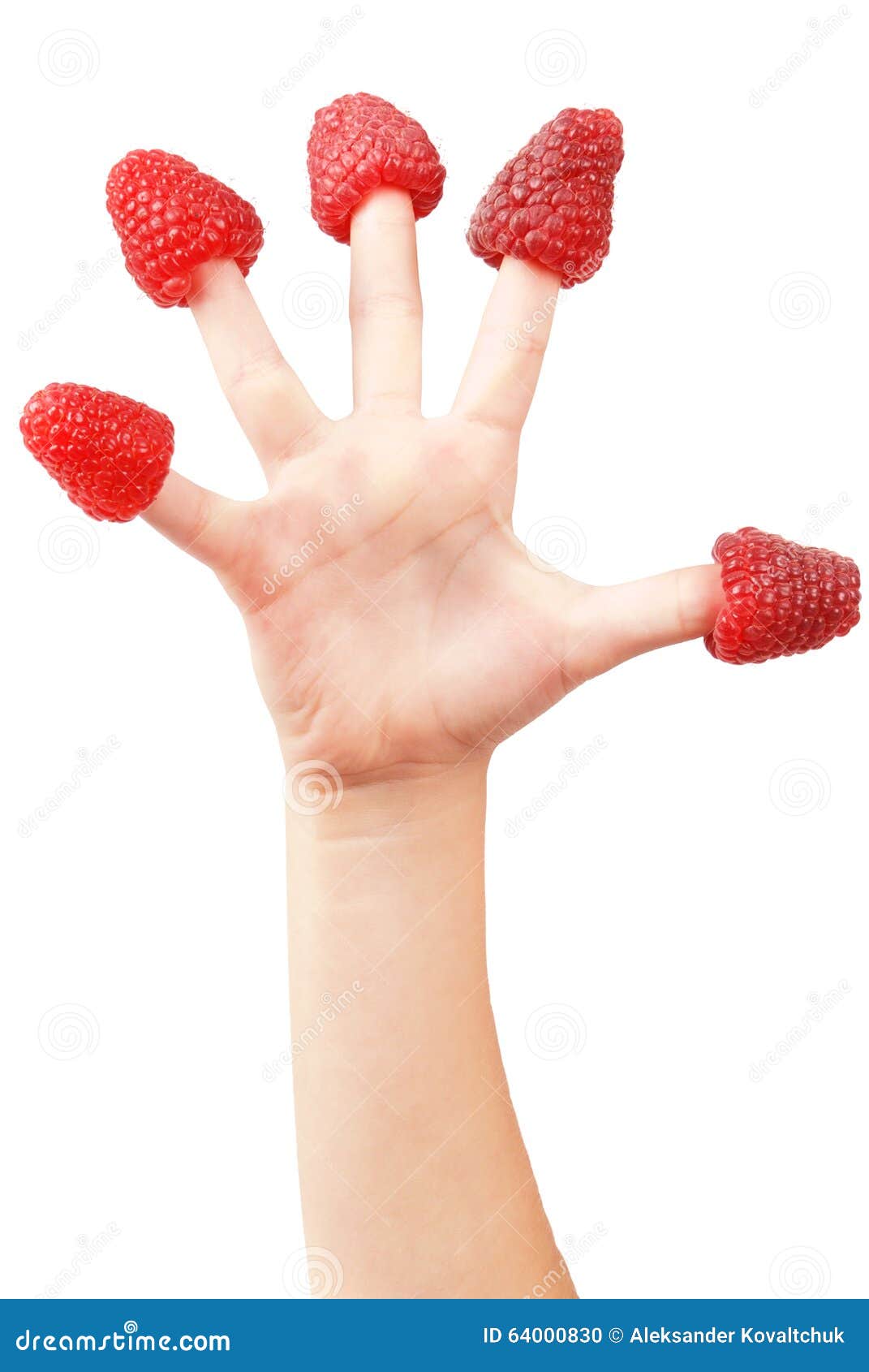 Raspberry on Fingers of a Little Girl Stock Photo - Image of person ...