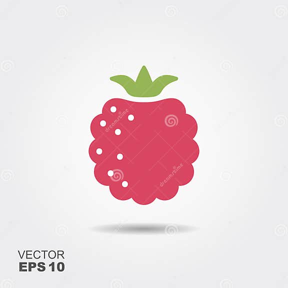 Raspberry Flat Icon with Shadow Stock Vector - Illustration of concept ...