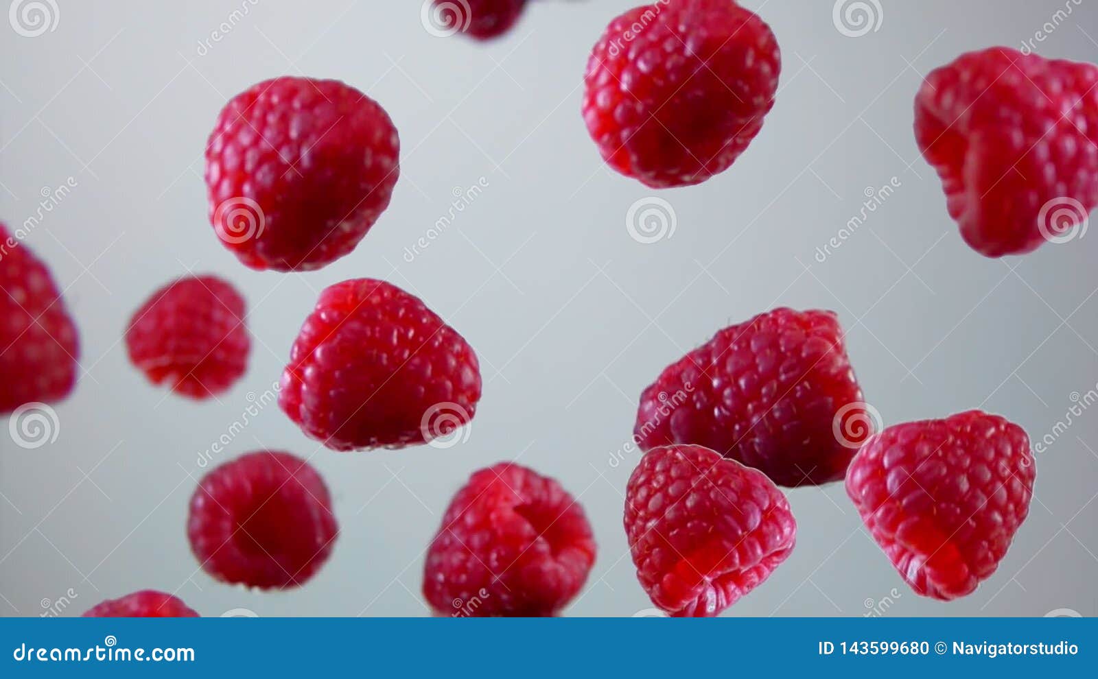 Raspberry Fly on a White Background Stock Footage - Video of basket ...
