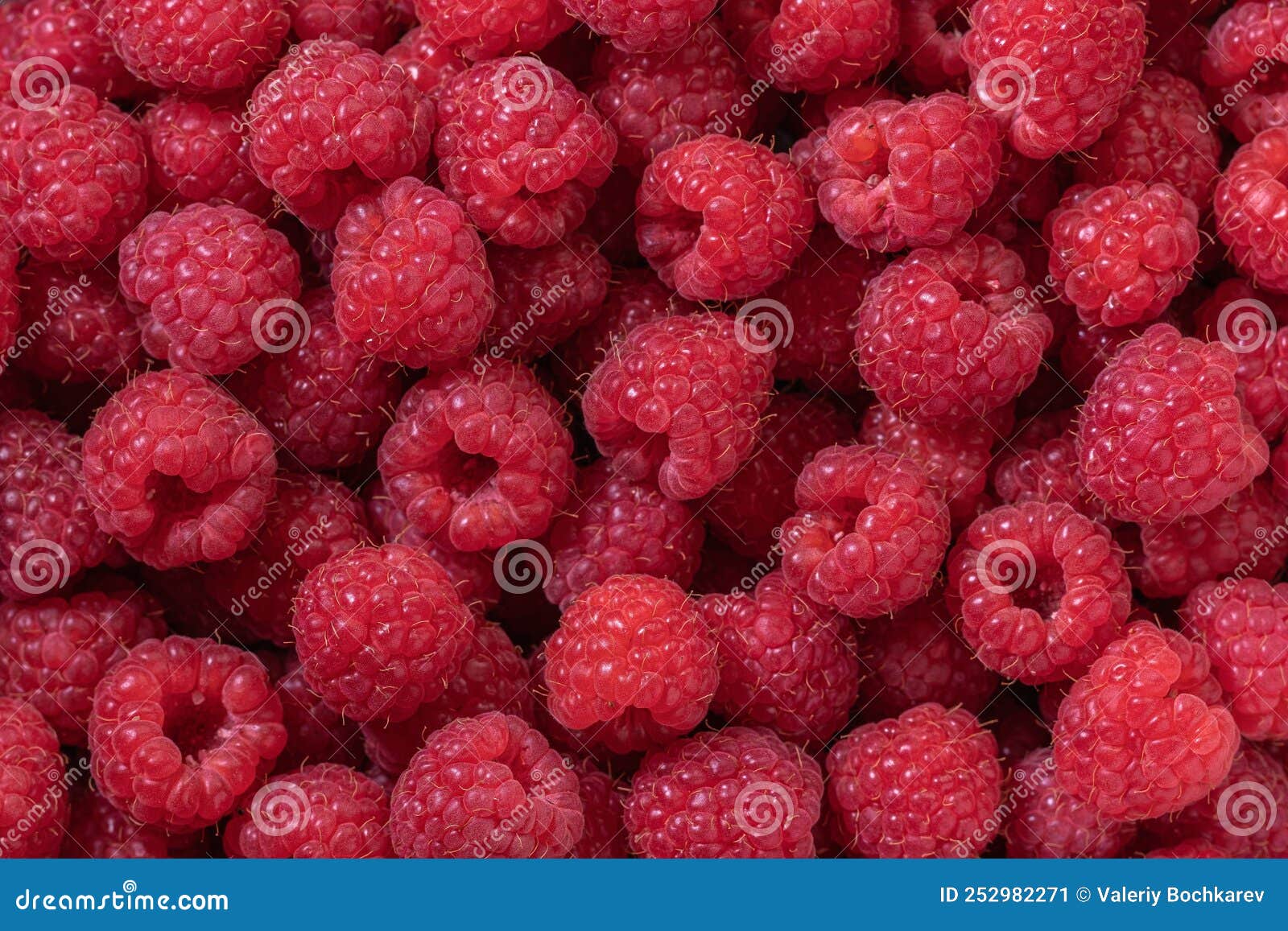 Raspberry. Fresh Organic Berries with Leaves Macro. Fruit Background ...