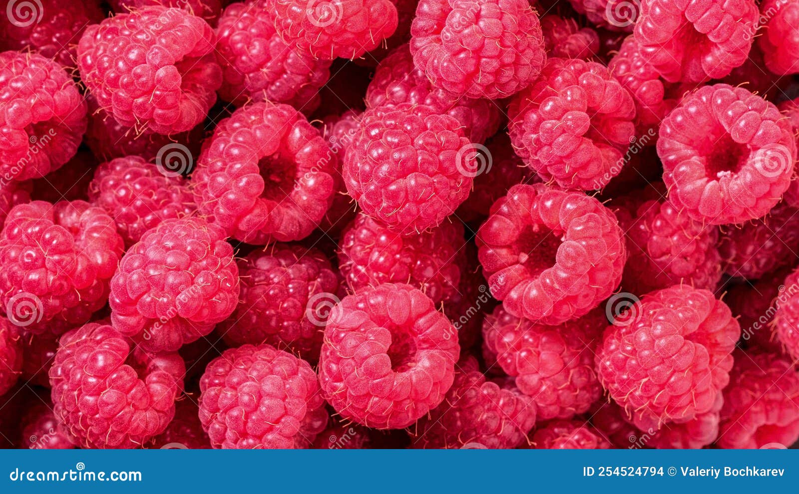 Raspberry. Fresh Organic Berries with Leaves Macro. Fruit Background ...