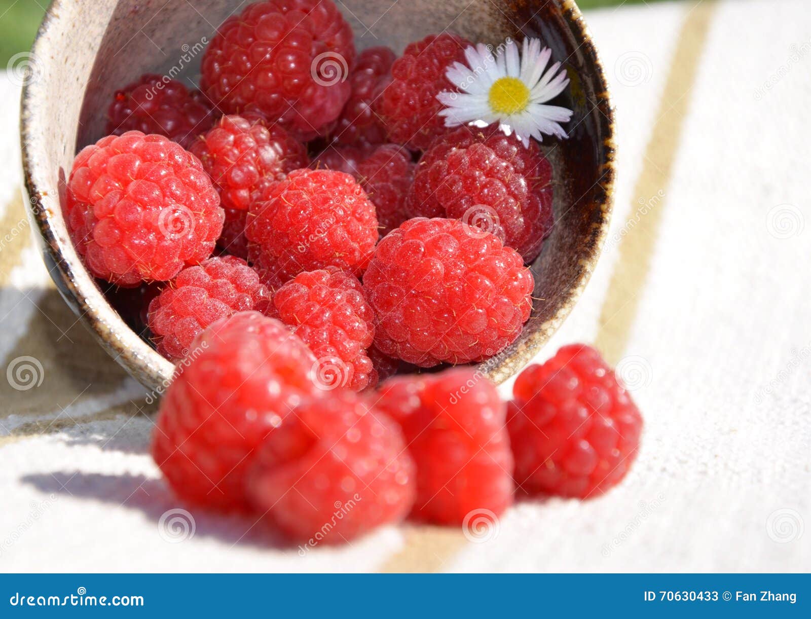 Raspberry stock image. Image of nature, fresh, daisy - 70630433