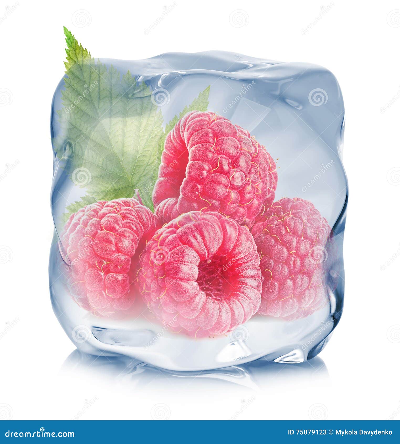 Raspberry Frozen Macro Stock Photo | CartoonDealer.com #211059360