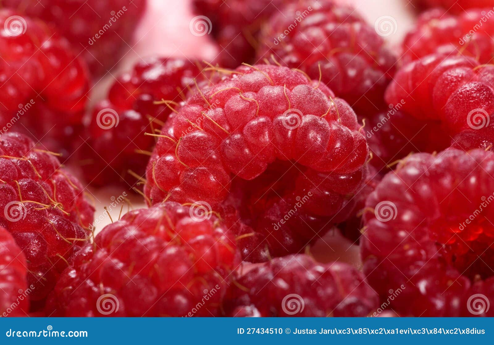 Raspberry fruit stock photo. Image of ripe, sweet, fruity - 27434510
