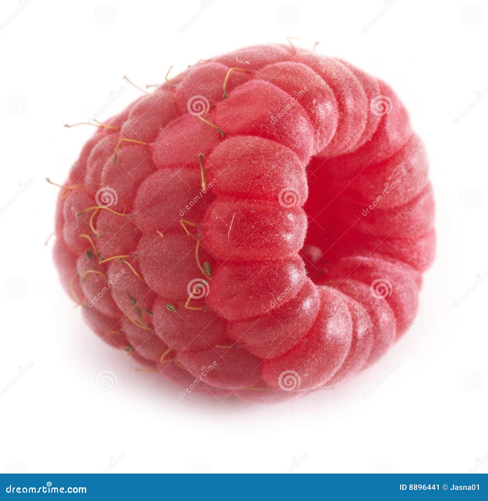 Raspberry fruit stock image. Image of fresh, fruit, sweet - 8896441