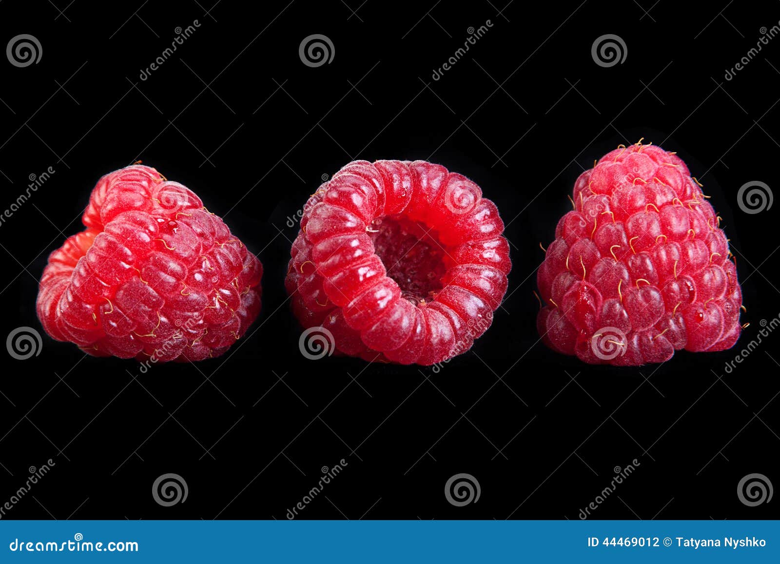 Raspberry Fruit Royalty-Free Stock Photo | CartoonDealer.com #26242611
