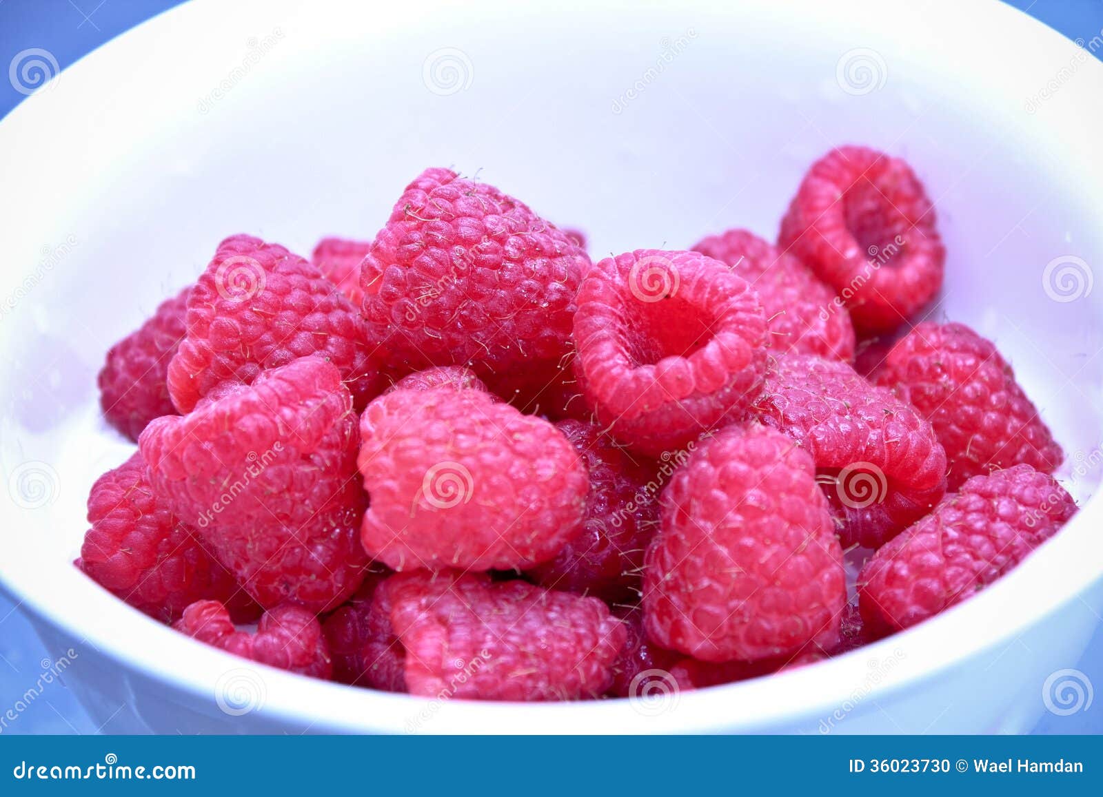 Raspberry fruit stock photo. Image of vibrant, delicious - 36023730