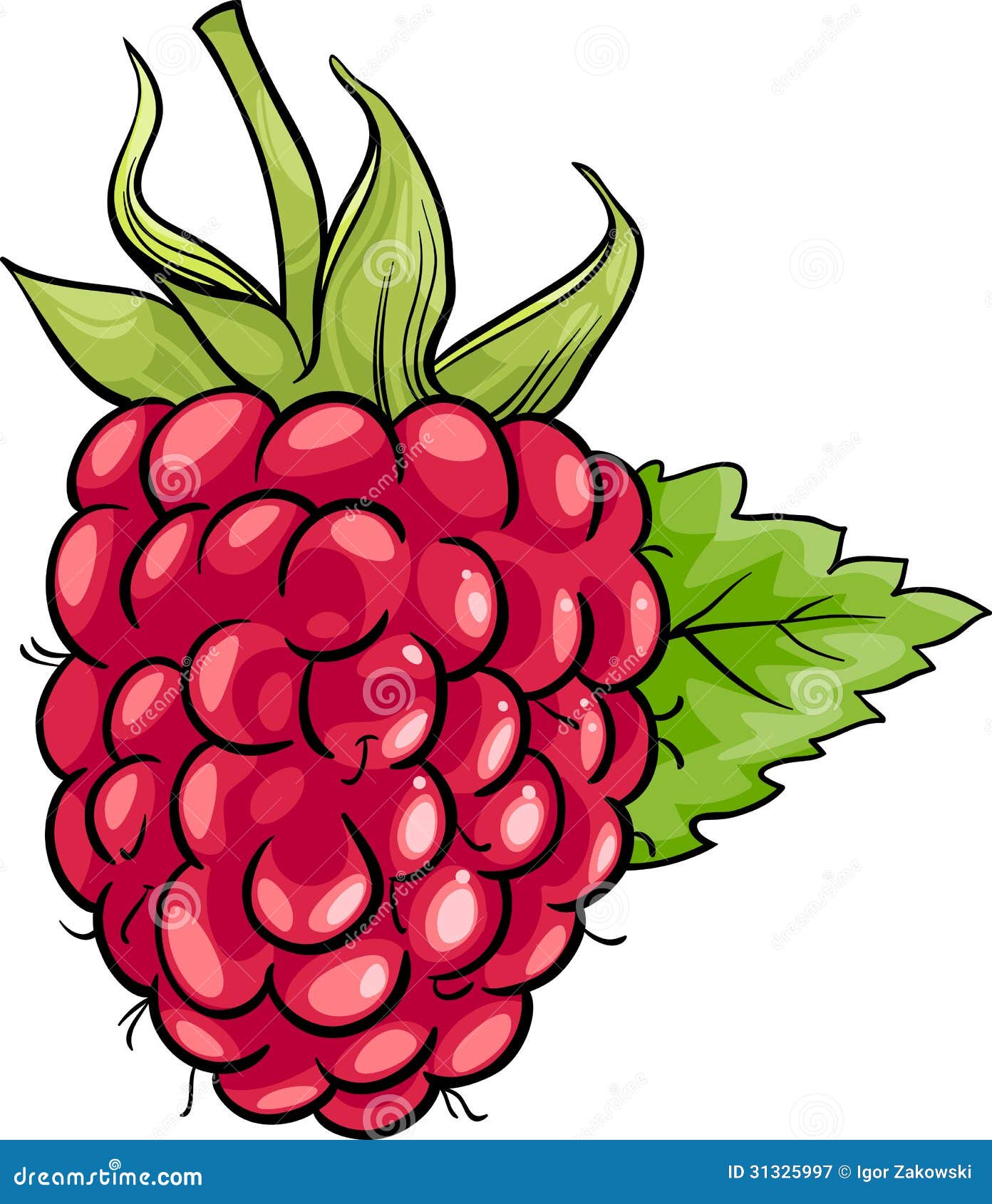 Raspberry Fruit Cartoon Illustration Stock Vector - Illustration of ...