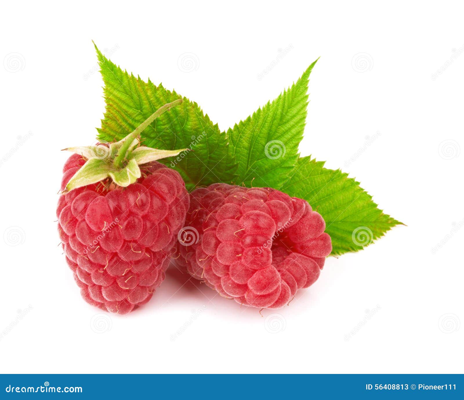 Raspberry stock image. Image of herb, berry, pile, green - 56408813