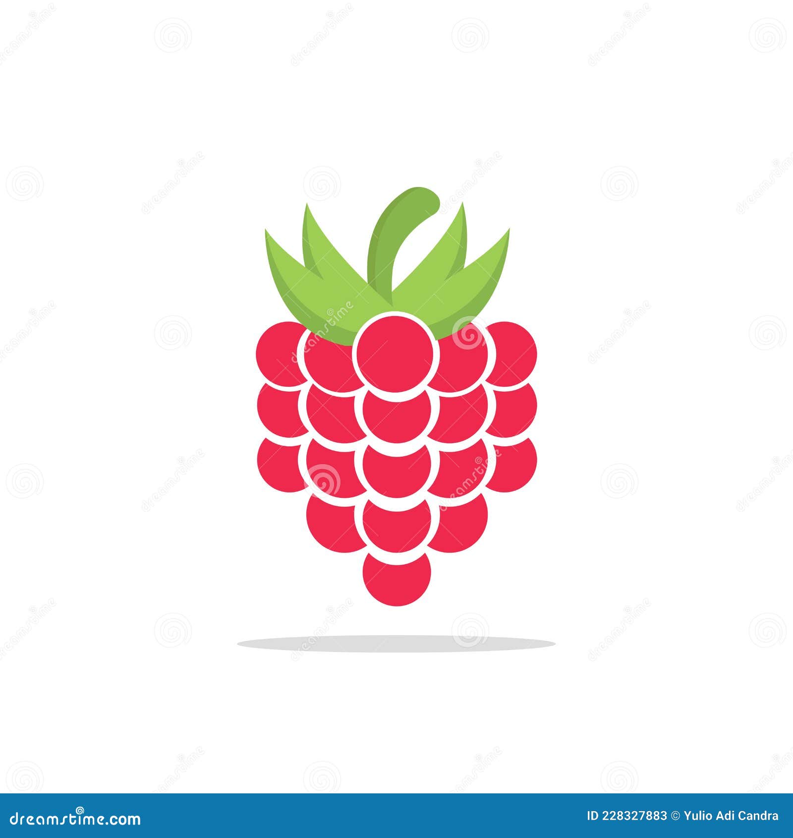 Raspberry Fruit Flat Style Isolated Design. Vector Illustration Icon ...