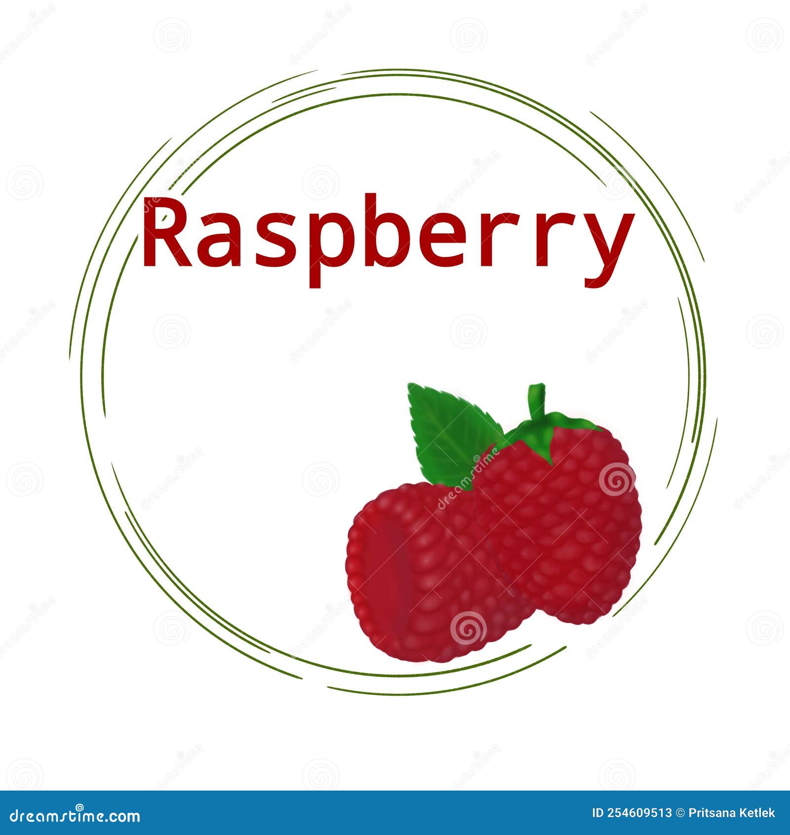 Raspberry Fruit with Hand Drawing Stock Illustration - Illustration of ...