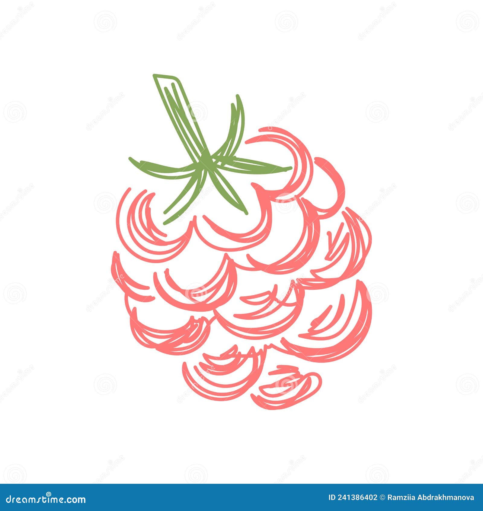 Raspberry Fruit. Hand Drawn Vector Illustration. Pen or Marker Doodle ...