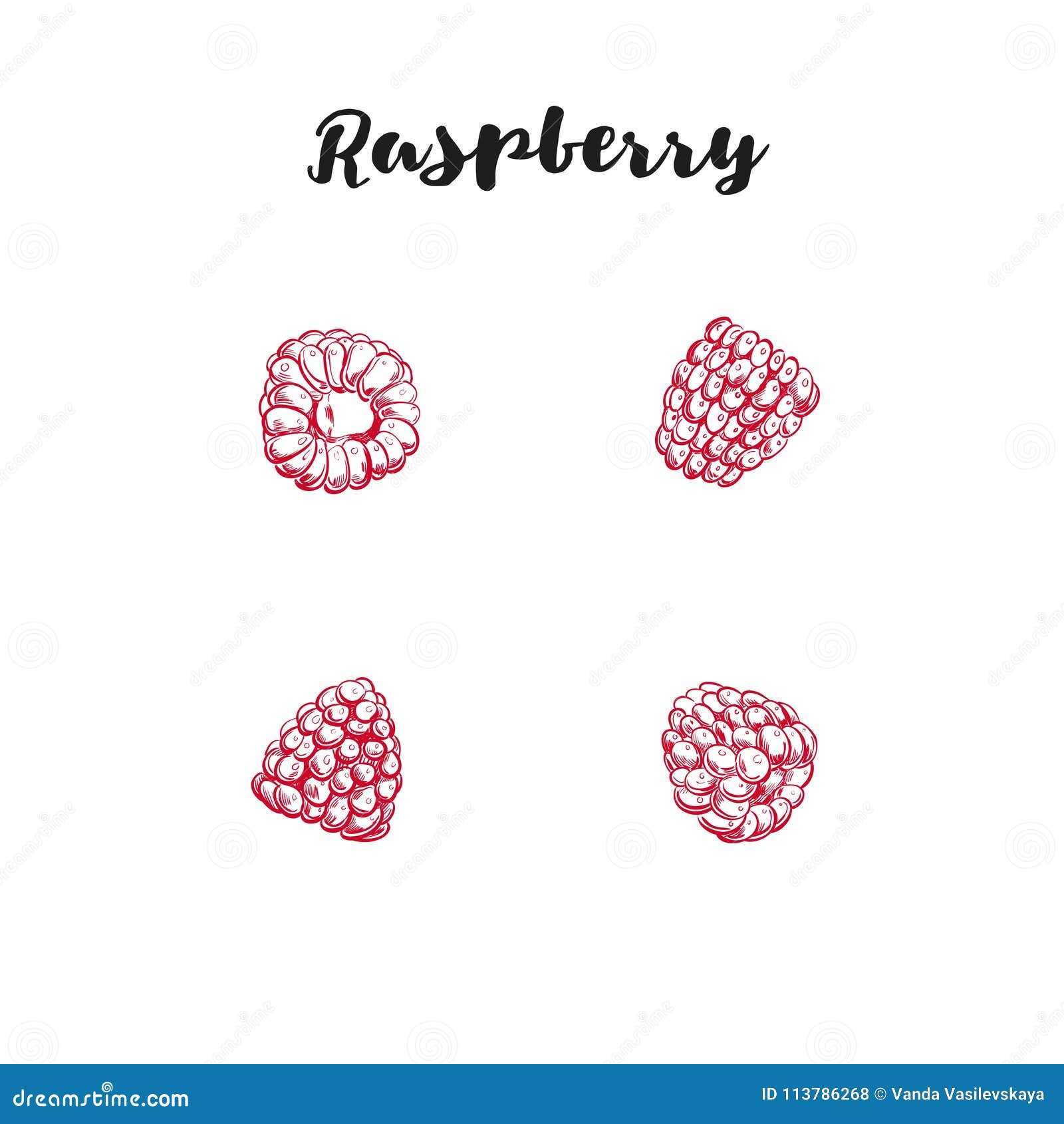 Raspberry fruit icon stock vector. Illustration of juice - 113786268