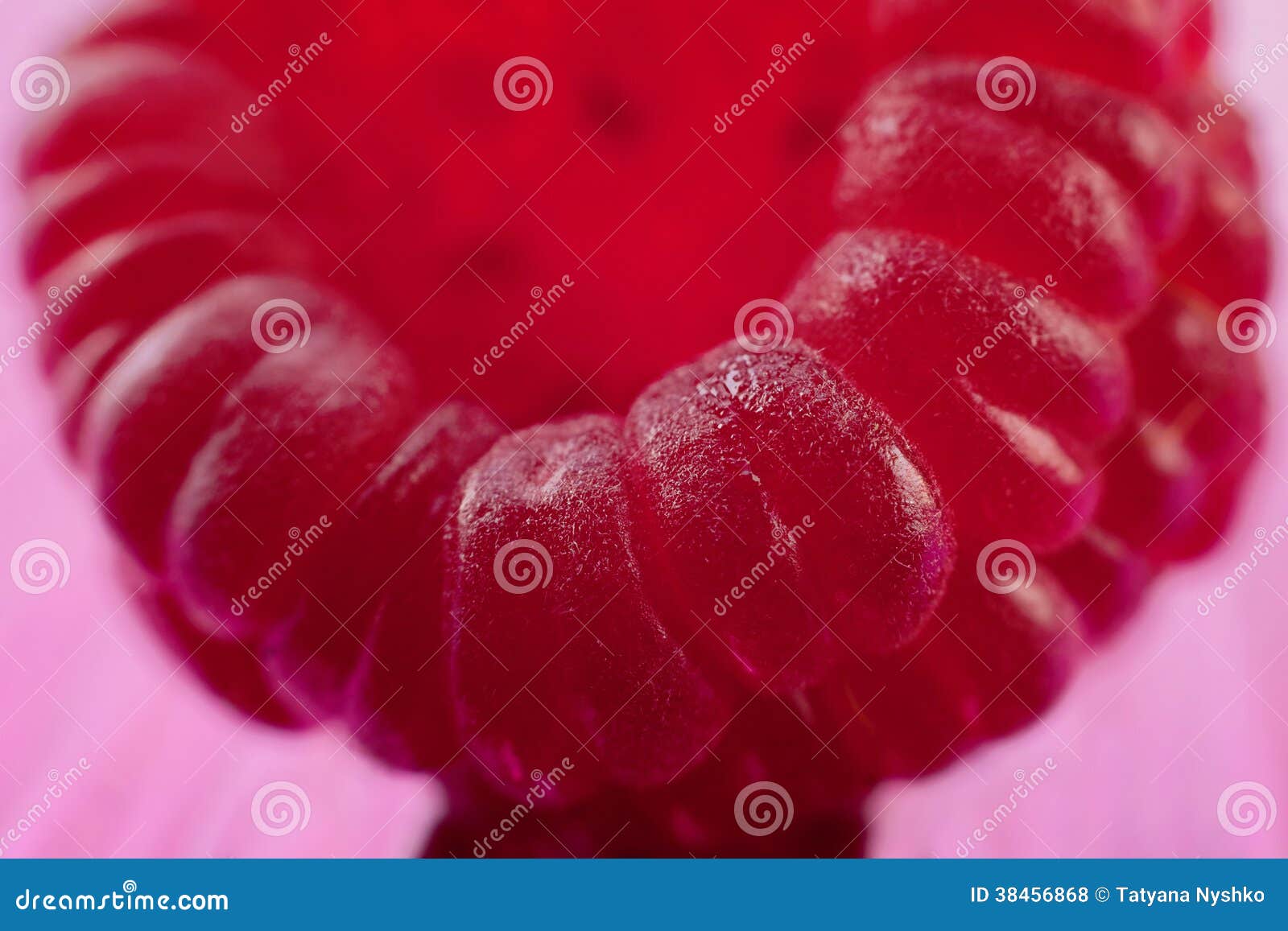 Raspberry fruit part macro stock photo. Image of color - 38456868