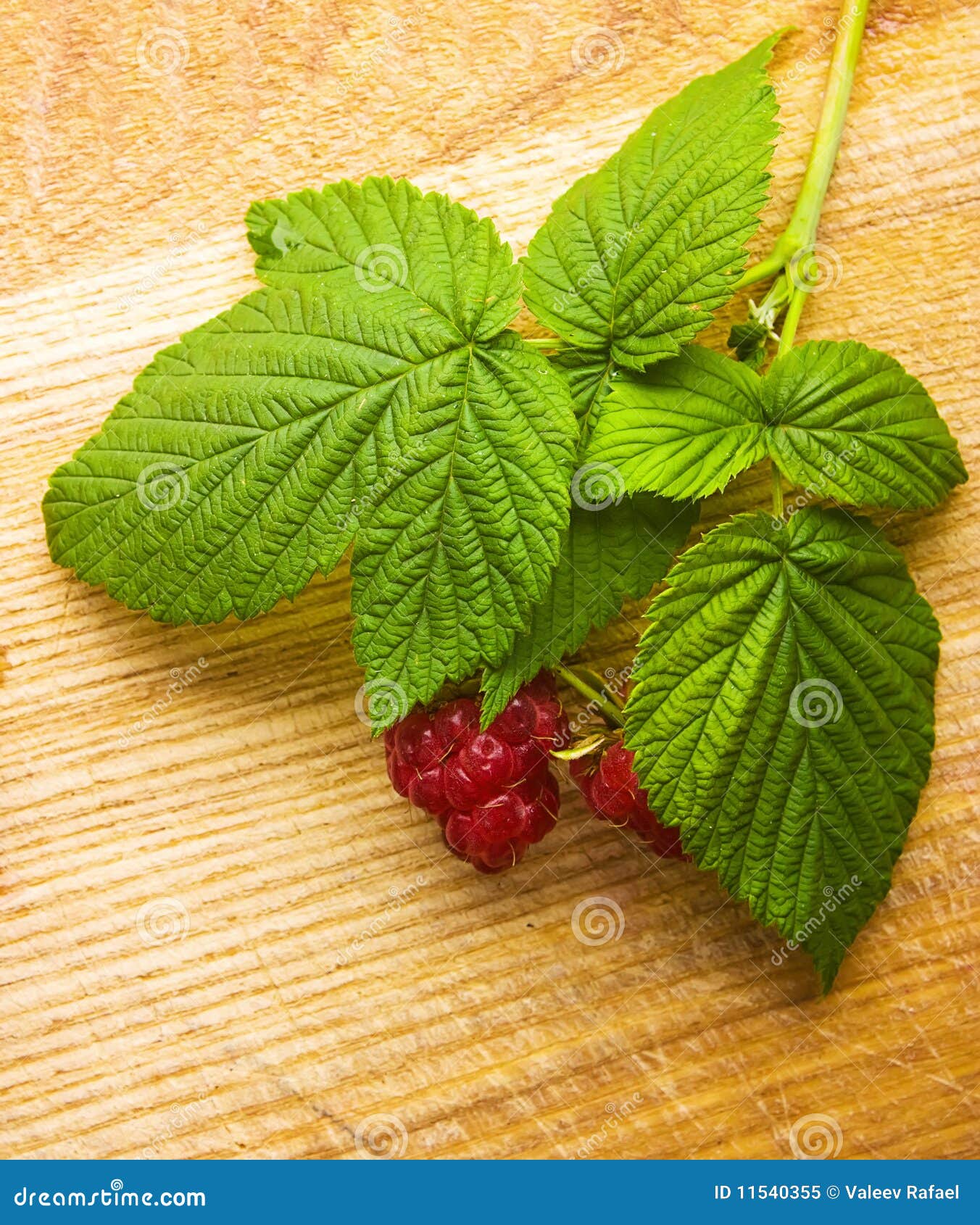 Raspberry Fruit with Stem and Leaves Stock Image - Image of gourmet ...