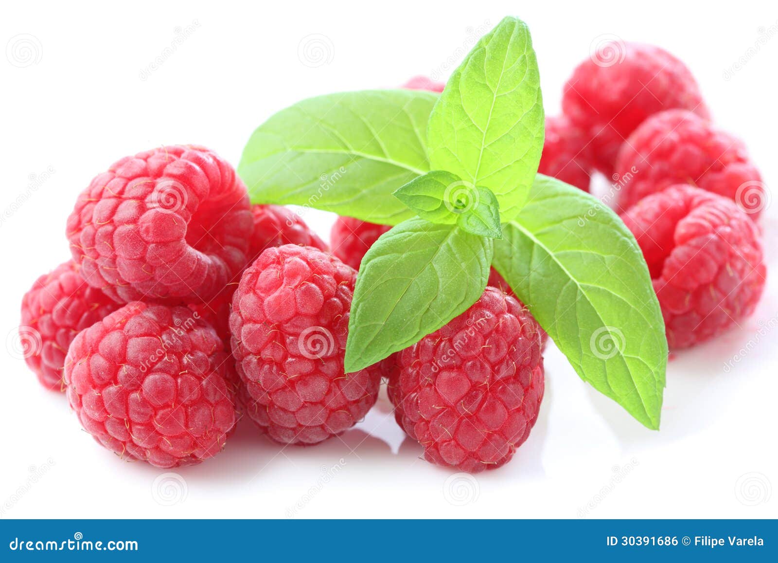Raspberry fruit stock photo. Image of leaves, fresh, nature - 30391686