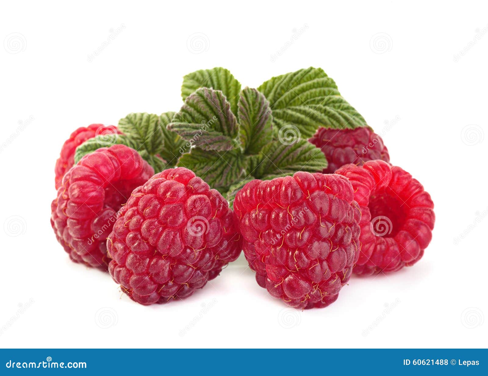 Raspberry fruit on white stock photo. Image of closeup - 60621488