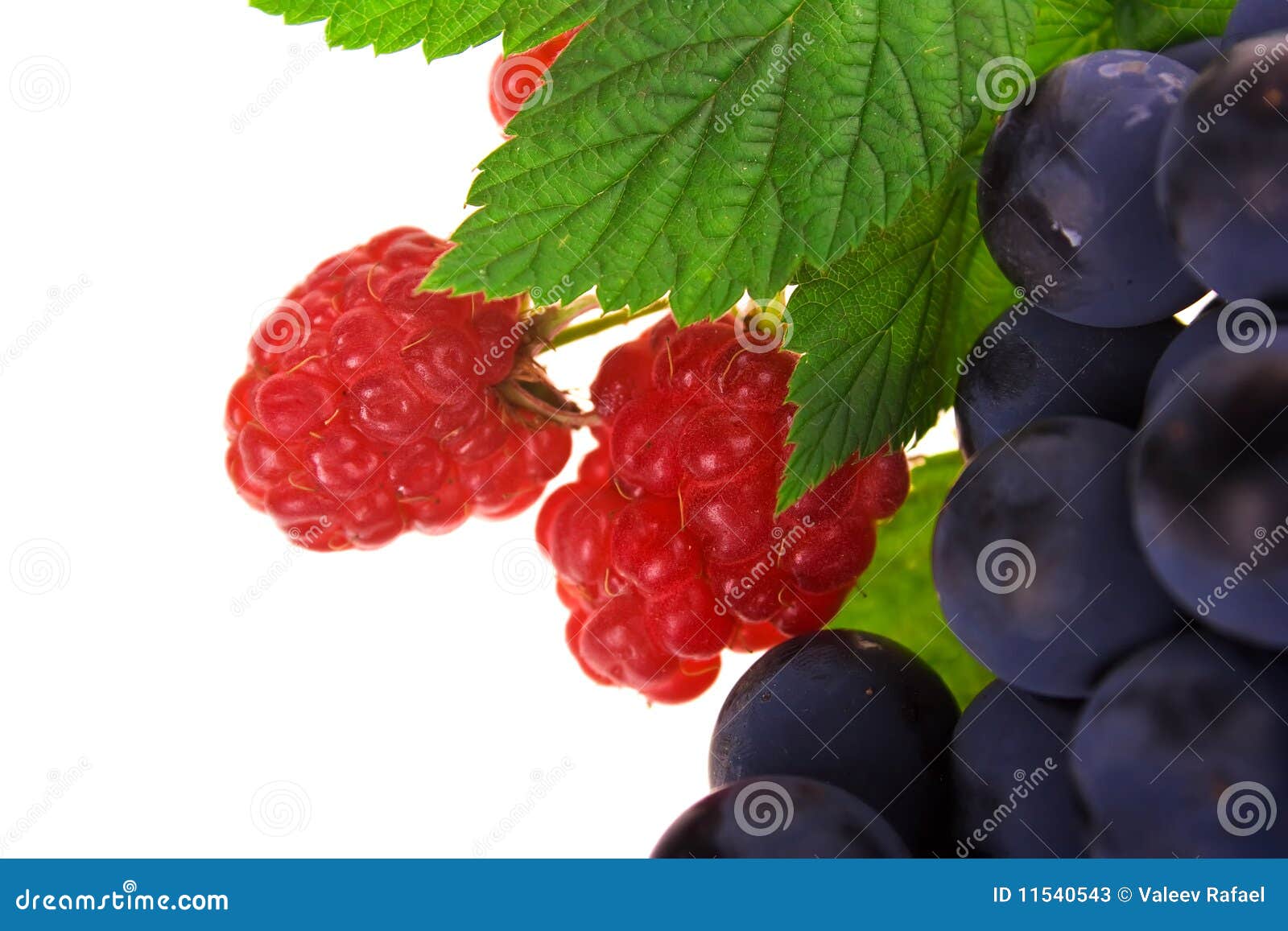 Raspberry and grapes fruit stock image. Image of luscious - 11540543