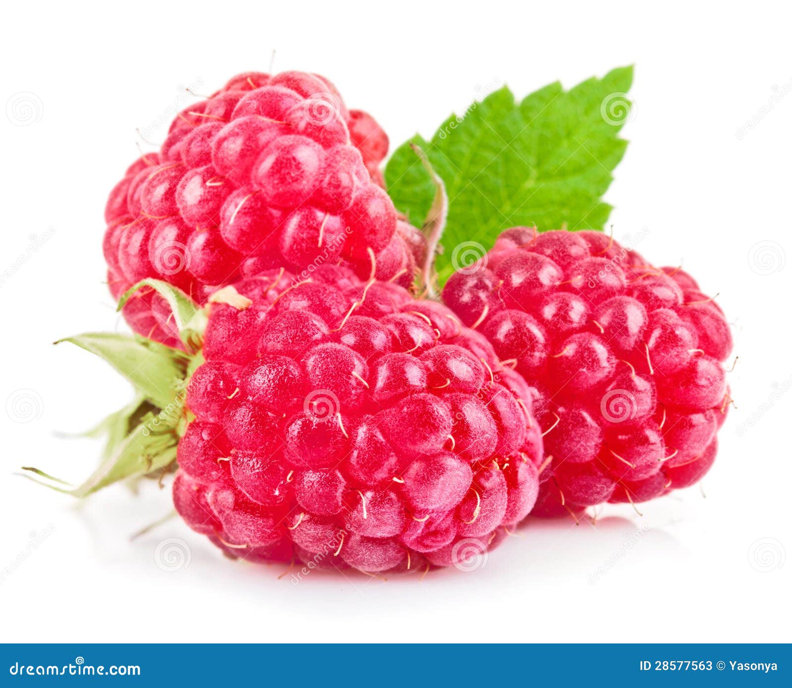 Raspberry with green leaf stock image. Image of diet - 28577563