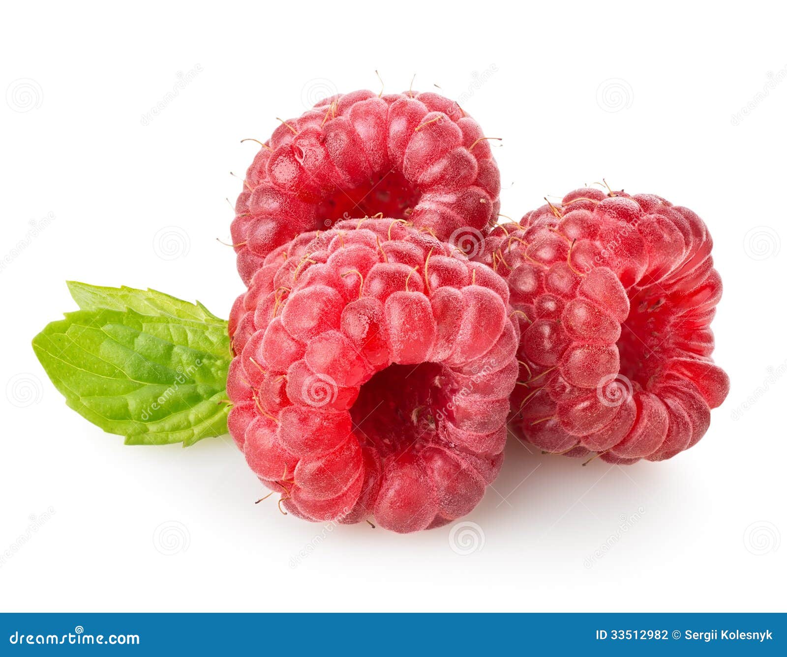 Raspberry stock photo. Image of closeup, herb, fruit - 33512982