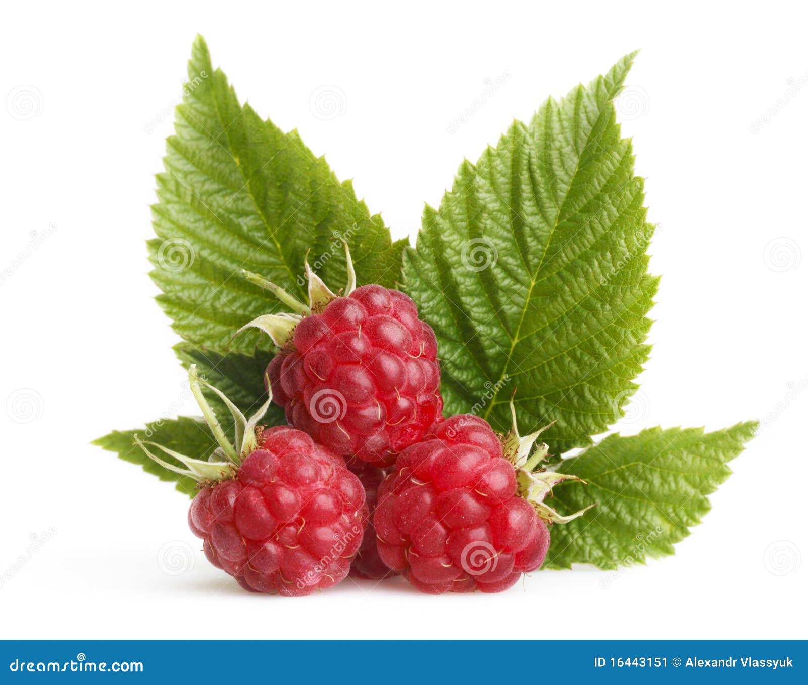 Raspberry with Green Leaves Stock Image - Image of nutrient, sweet ...