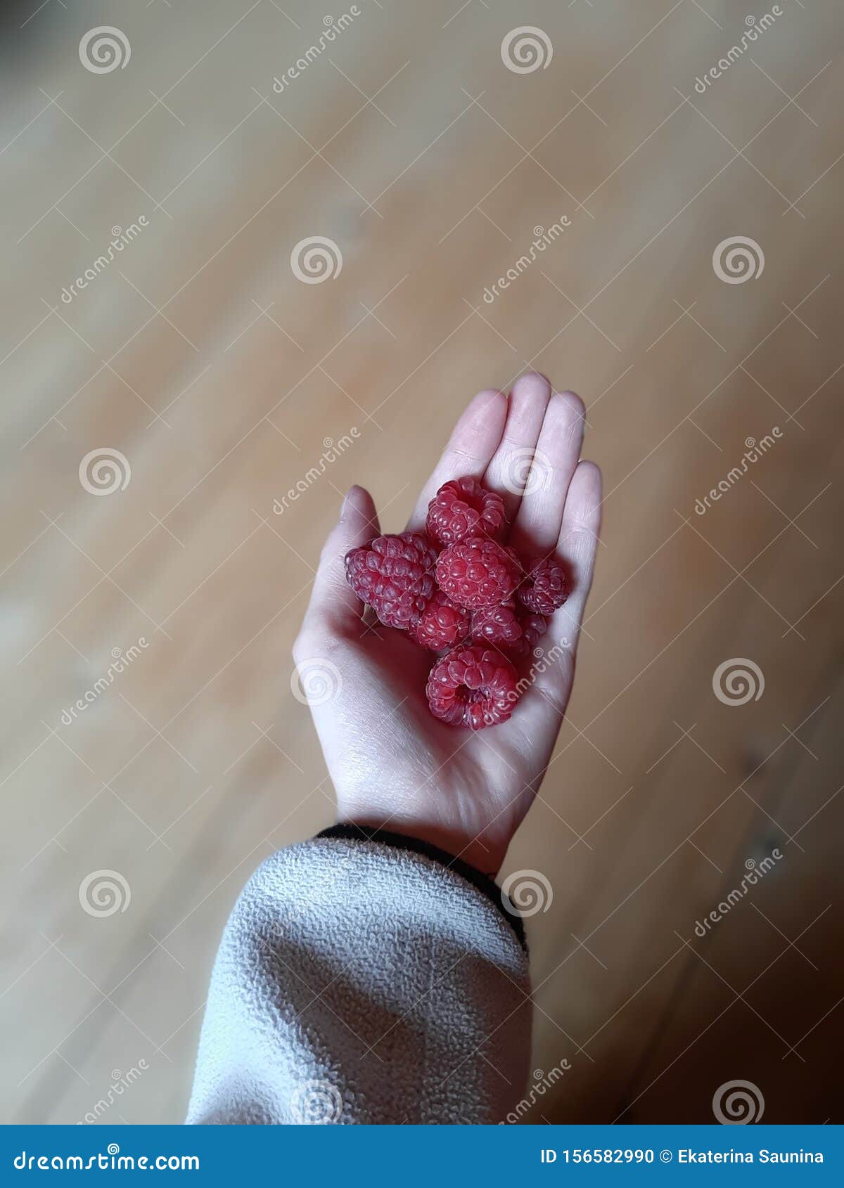 Raspberry in hand stock photo. Image of hand, raspberry - 156582990