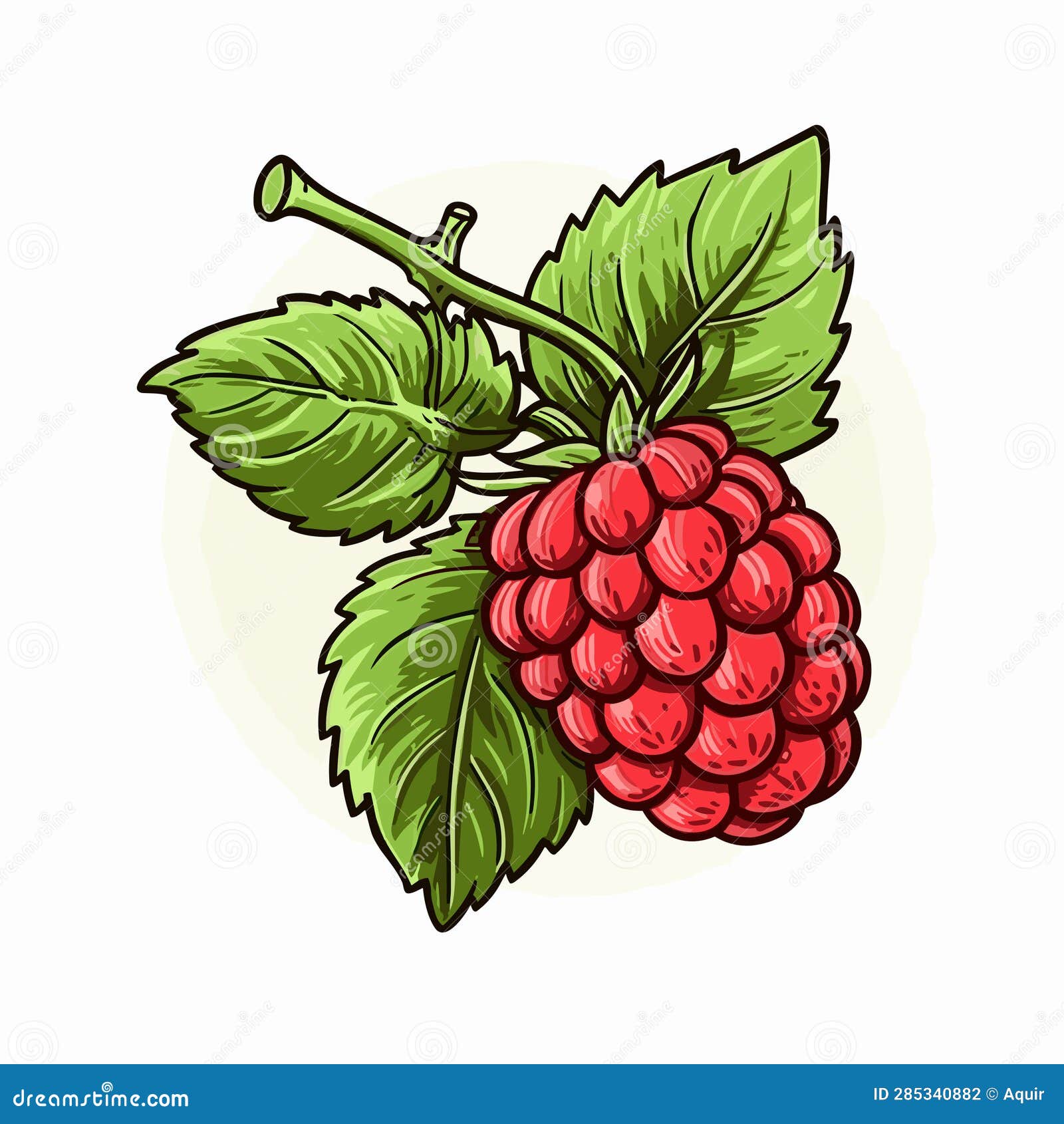 Raspberry. Raspberry Hand-drawn Comic Illustration. Vector Doodle Style ...