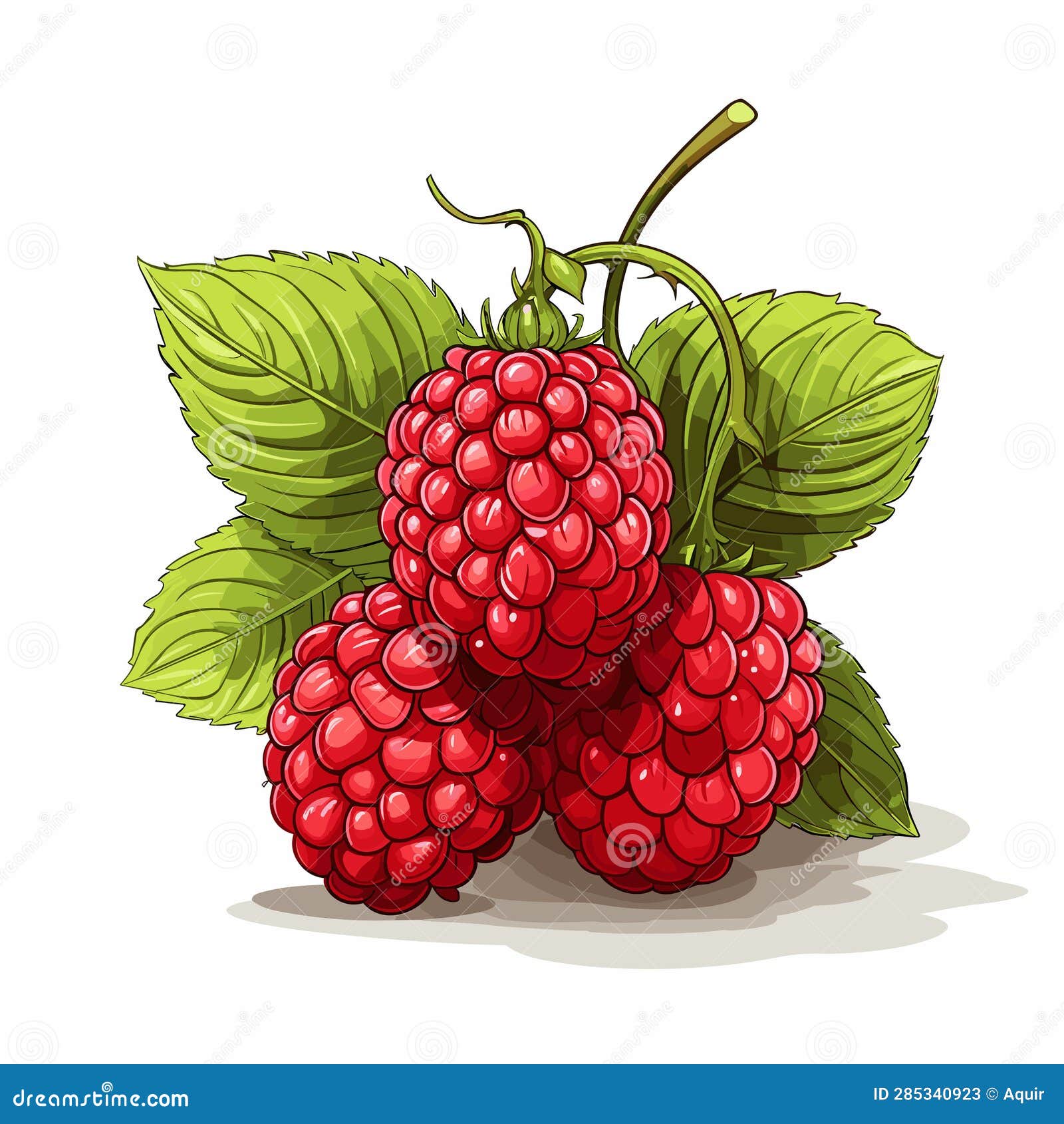 Raspberry. Raspberry Hand-drawn Comic Illustration. Vector Doodle Style ...