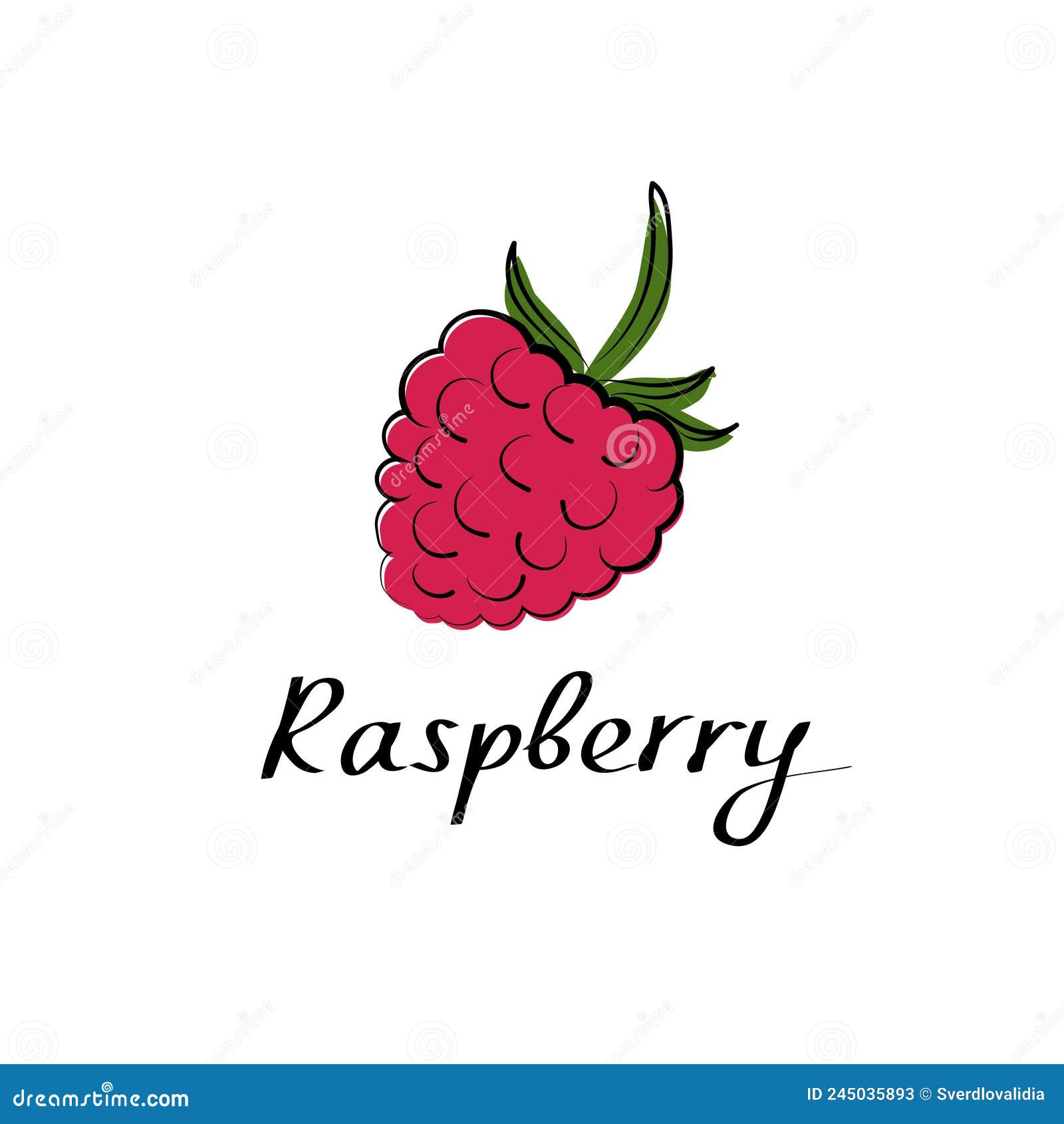 Raspberry Hand Drawn Sketch Illustration On White Background. Vector ...