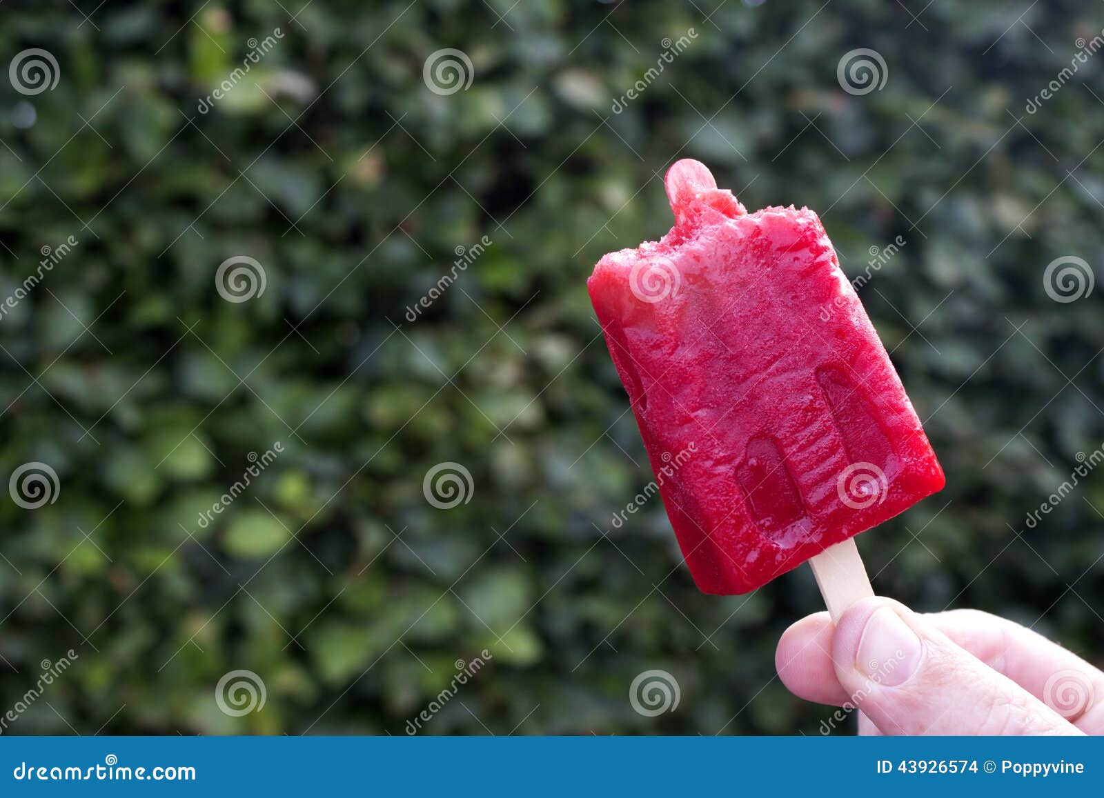 Raspberry Ice Lolly stock photo. Image of fruit, food - 43926574