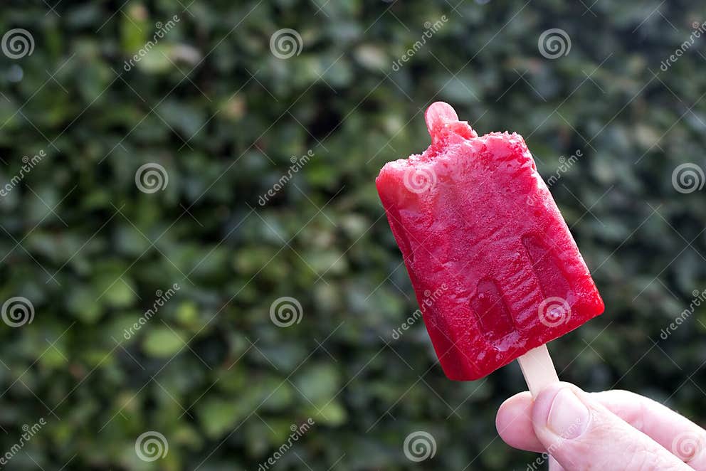 Raspberry Ice Lolly stock photo. Image of fruit, food - 43926574