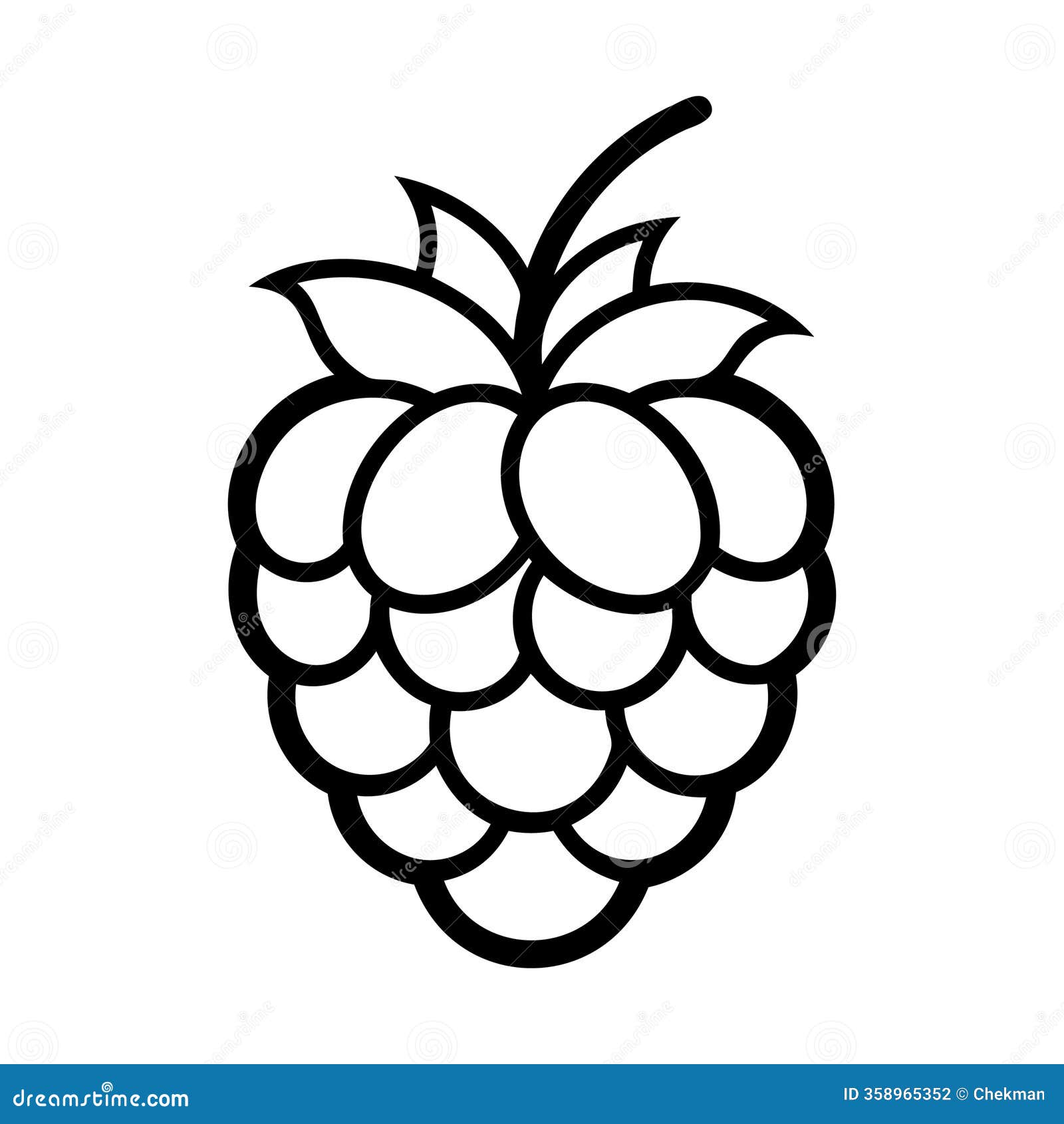 Raspberry Icon. Minimalist Line Drawing of a Ripe Raspberry Stock ...