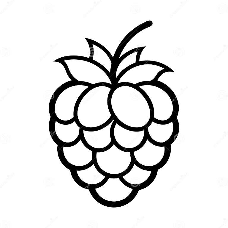Raspberry Icon. Minimalist Line Drawing of a Ripe Raspberry Stock ...