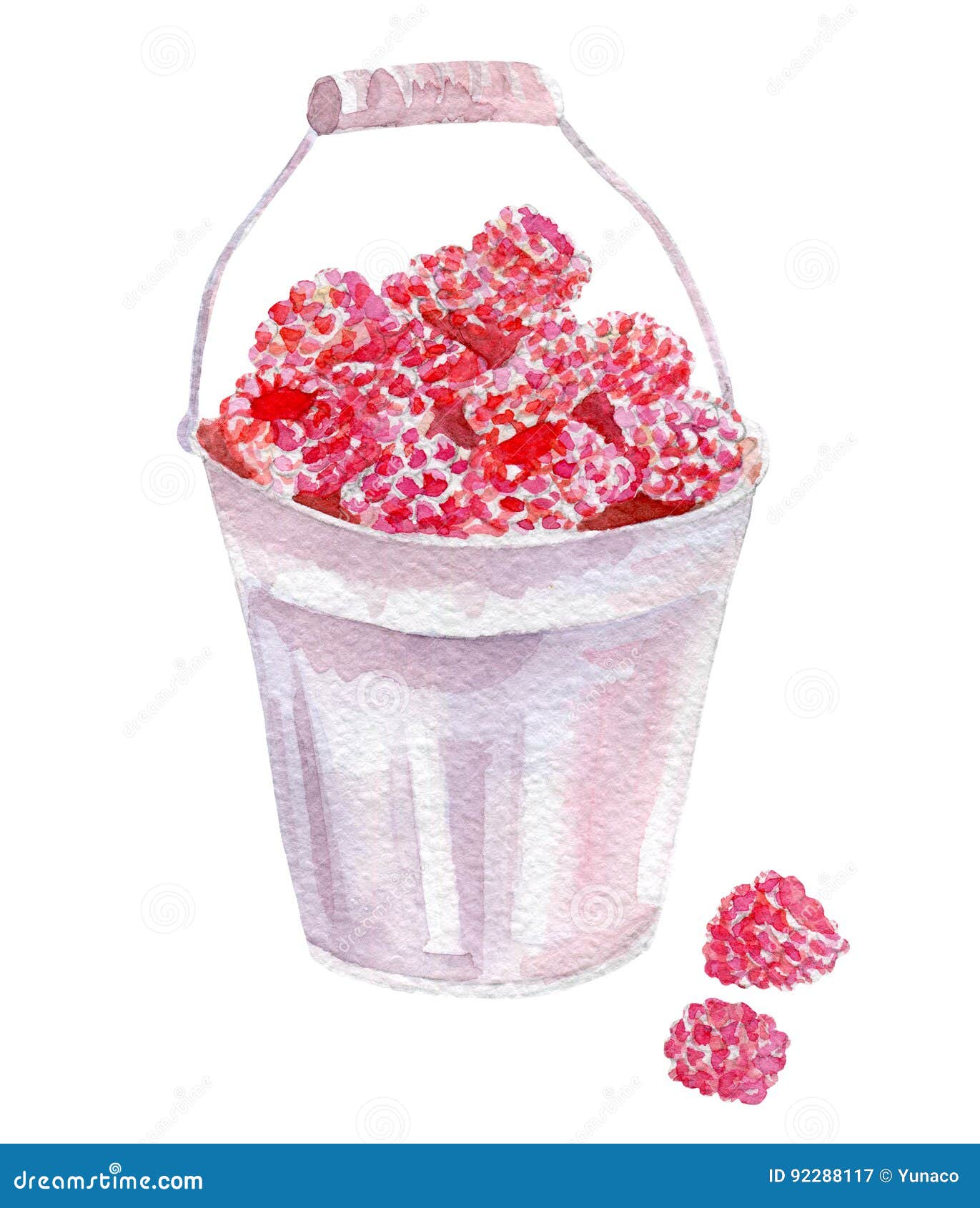 Raspberry Illustration. Hand Drawn Watercolor on White Background ...